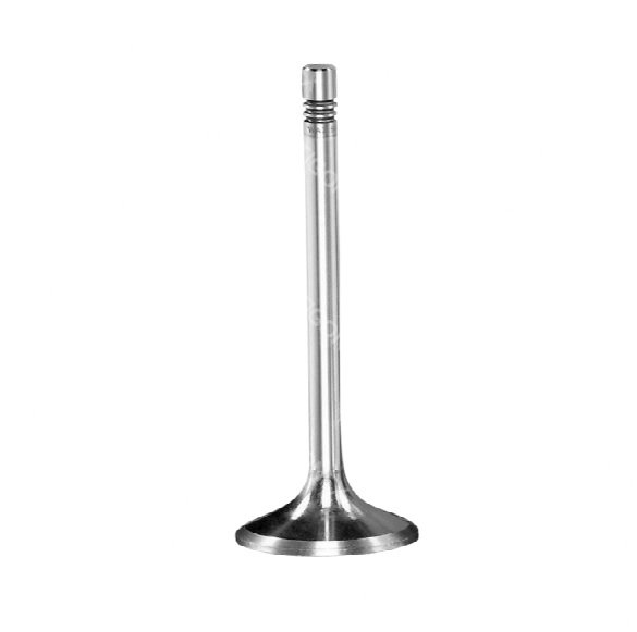 BMC VALVE (EXHAUST) 2902254 - Tigonex Spare Parts